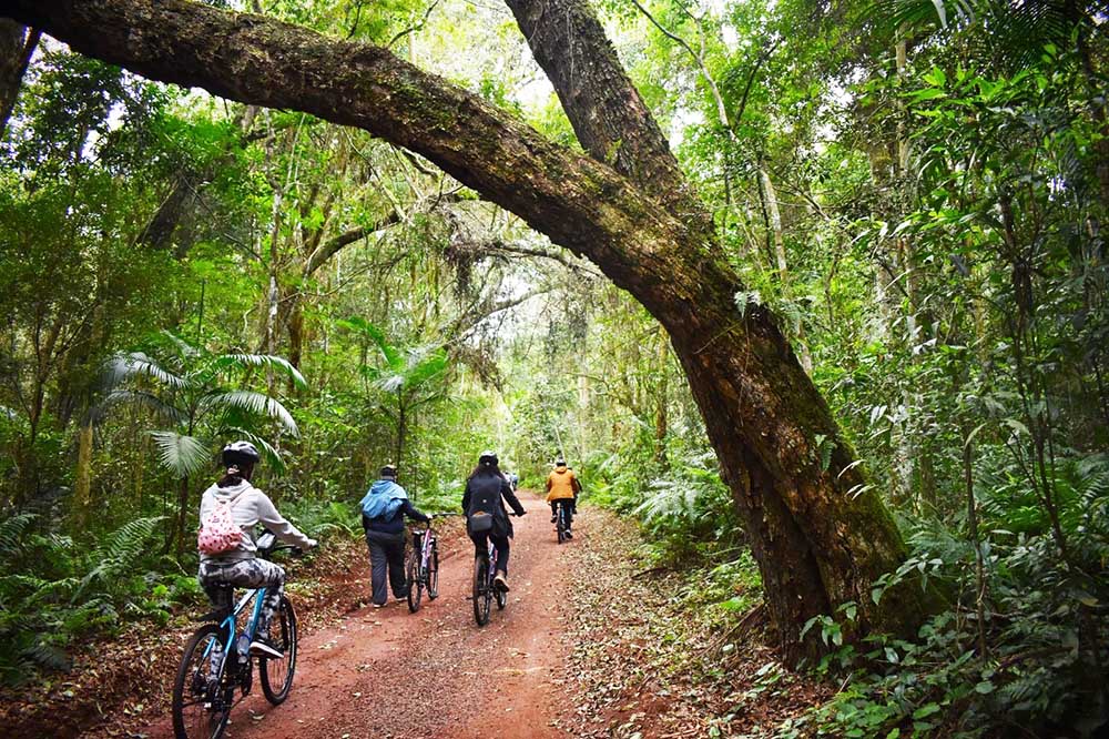 Bike Poço Preto: passeio guiado pela floresta da Mata Atlântica